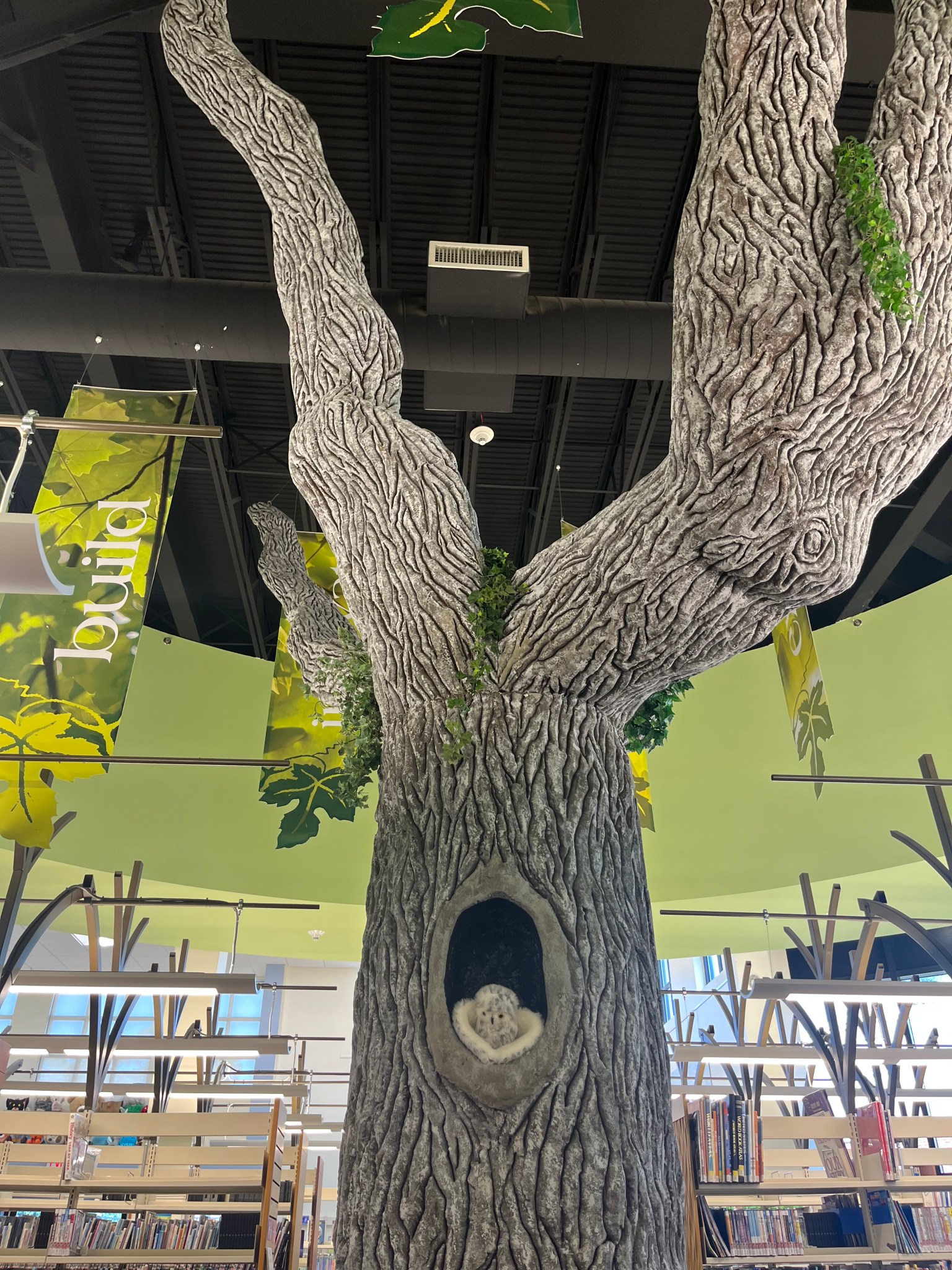 Suffolk County Public Libraries Summer Tour – Just My MomSense